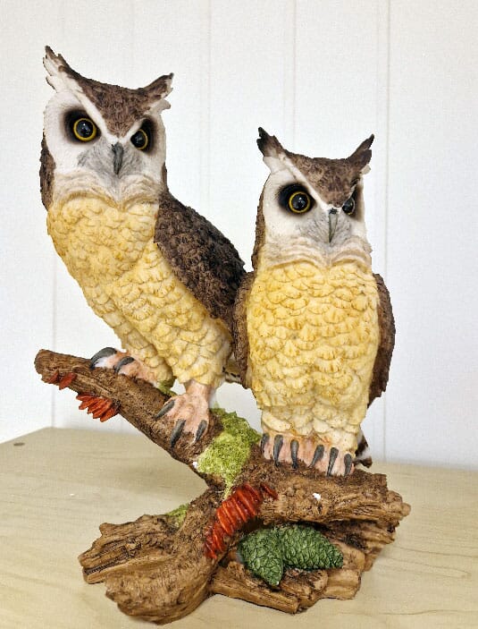 Ugler på fot - HAGEDYR
